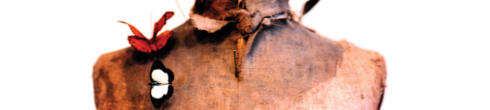 Healing the Wounded Heart - The Allender Center