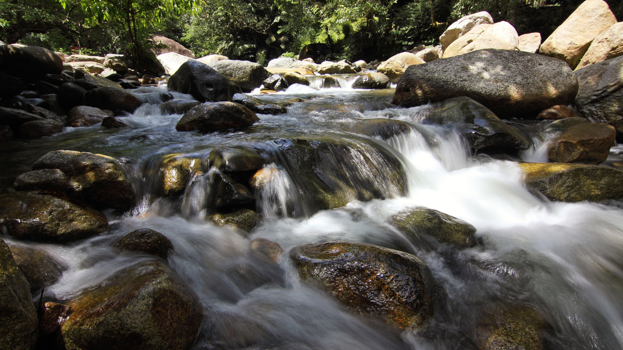 Resilient Spirit: A Conversation with John Eldredge - The Allender Center