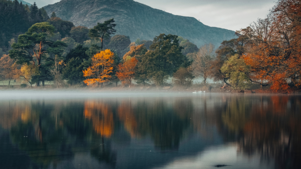 The Allender Center Podcast