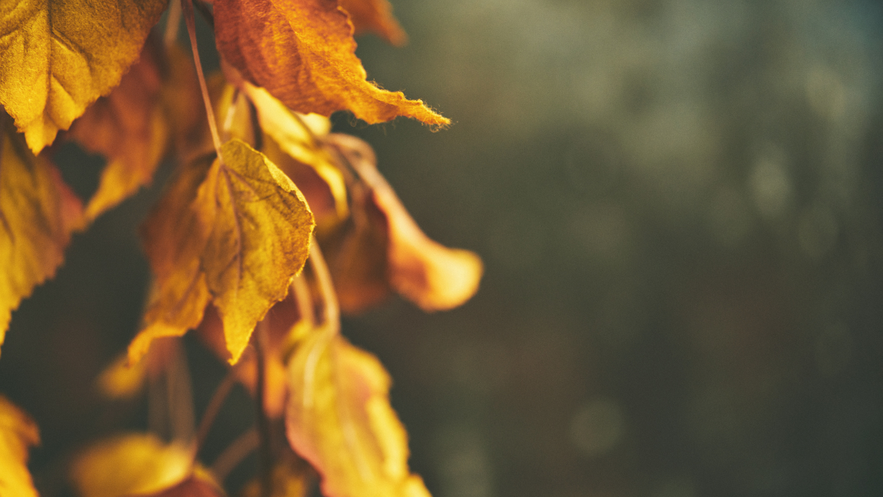 Checking In, Part 2 - The Allender Center